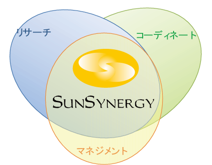 太陽光発電事業のコンサルティンググループ Sun Synergy
